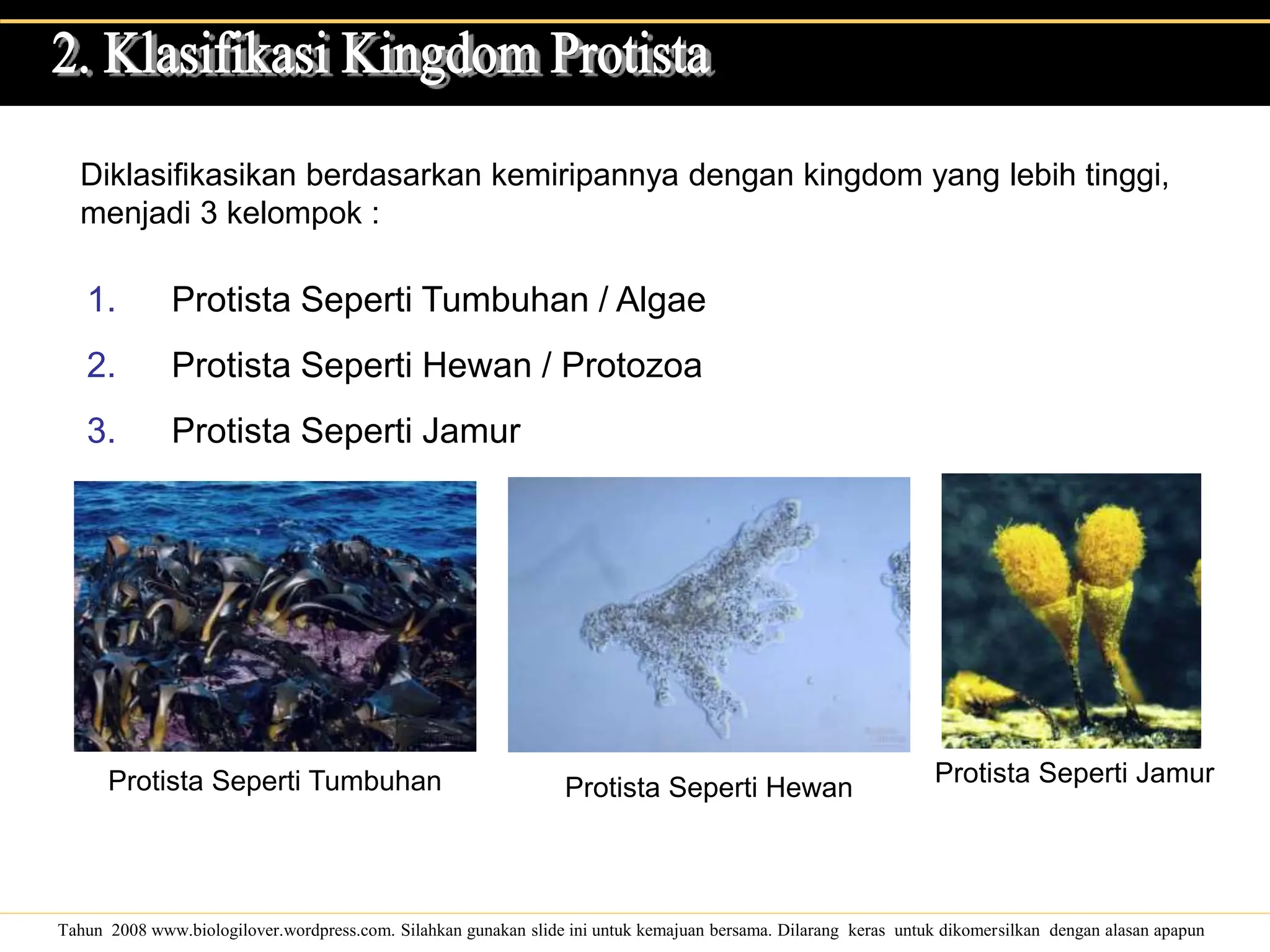 Presentasi Protista mirip jamur dan tumbuhan | PPT