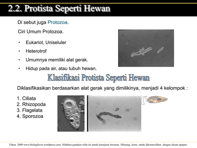Presentasi Protista mirip jamur dan tumbuhan | PPT