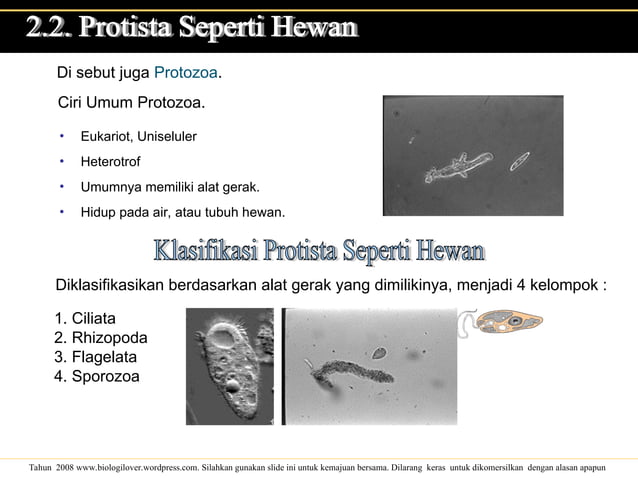 Materi Kelas X Mikroorganisme Protista.ppt