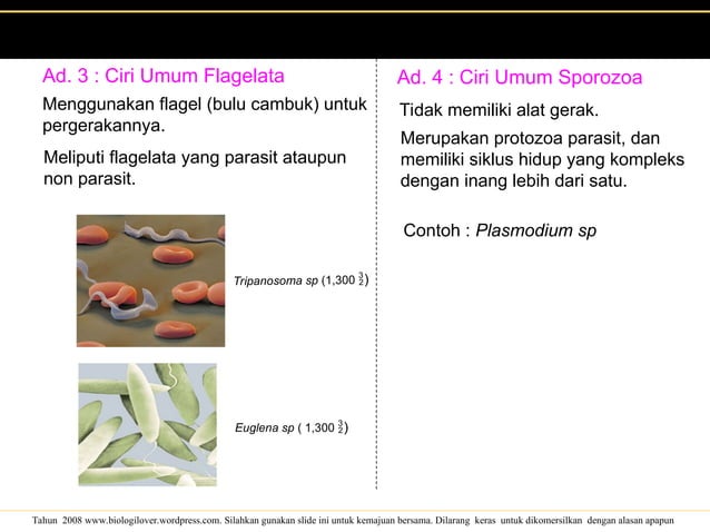 Materi Kelas X Mikroorganisme Protista.ppt