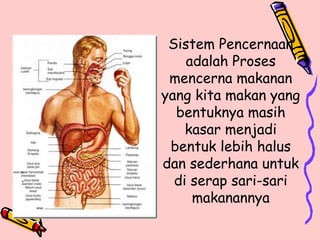 PRESENTASI-SISTEM-PENCERNAAN-MANUSIA.ppt