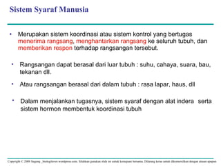 Presentasi Sistem Syaraf 1 | PPT