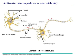 Presentasi Sistem Syaraf 1 | PPT