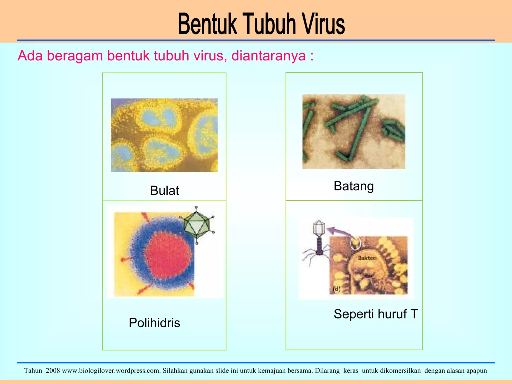 PPT Biologi SMA Kelas X-Virus | PPT