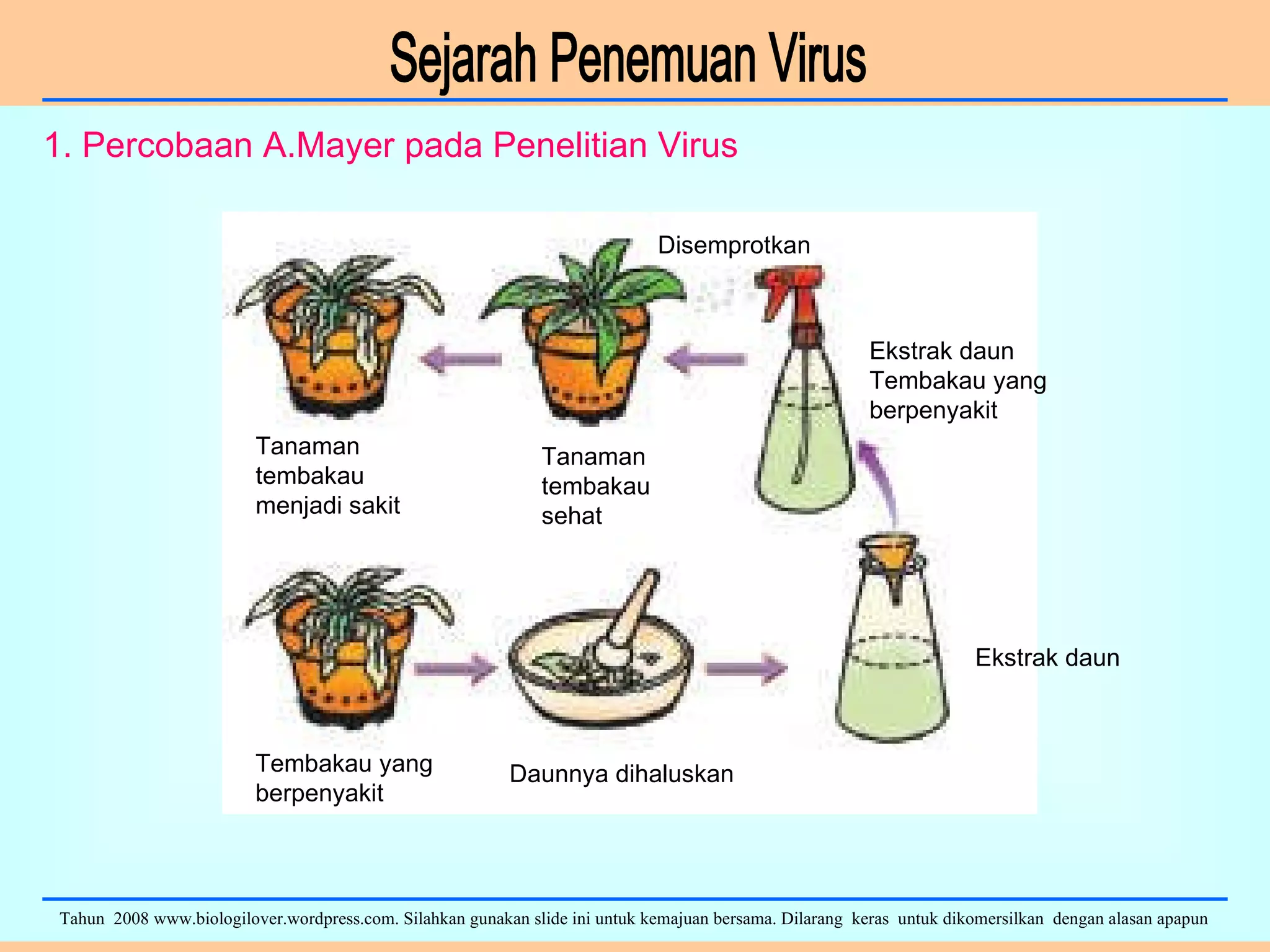 PPT Biologi SMA Kelas X-Virus | PPT