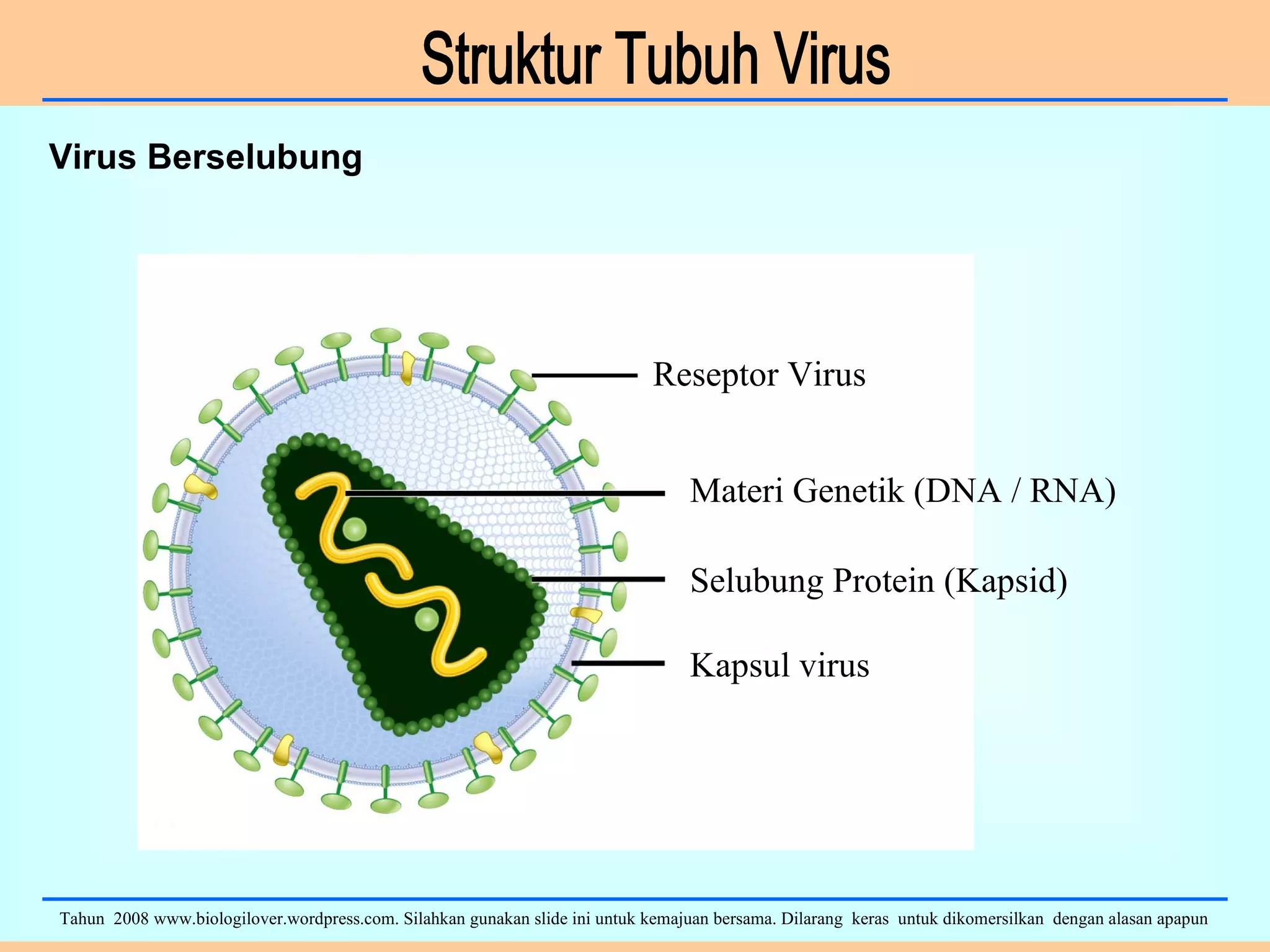 PPT Biologi SMA Kelas X-Virus | PPT