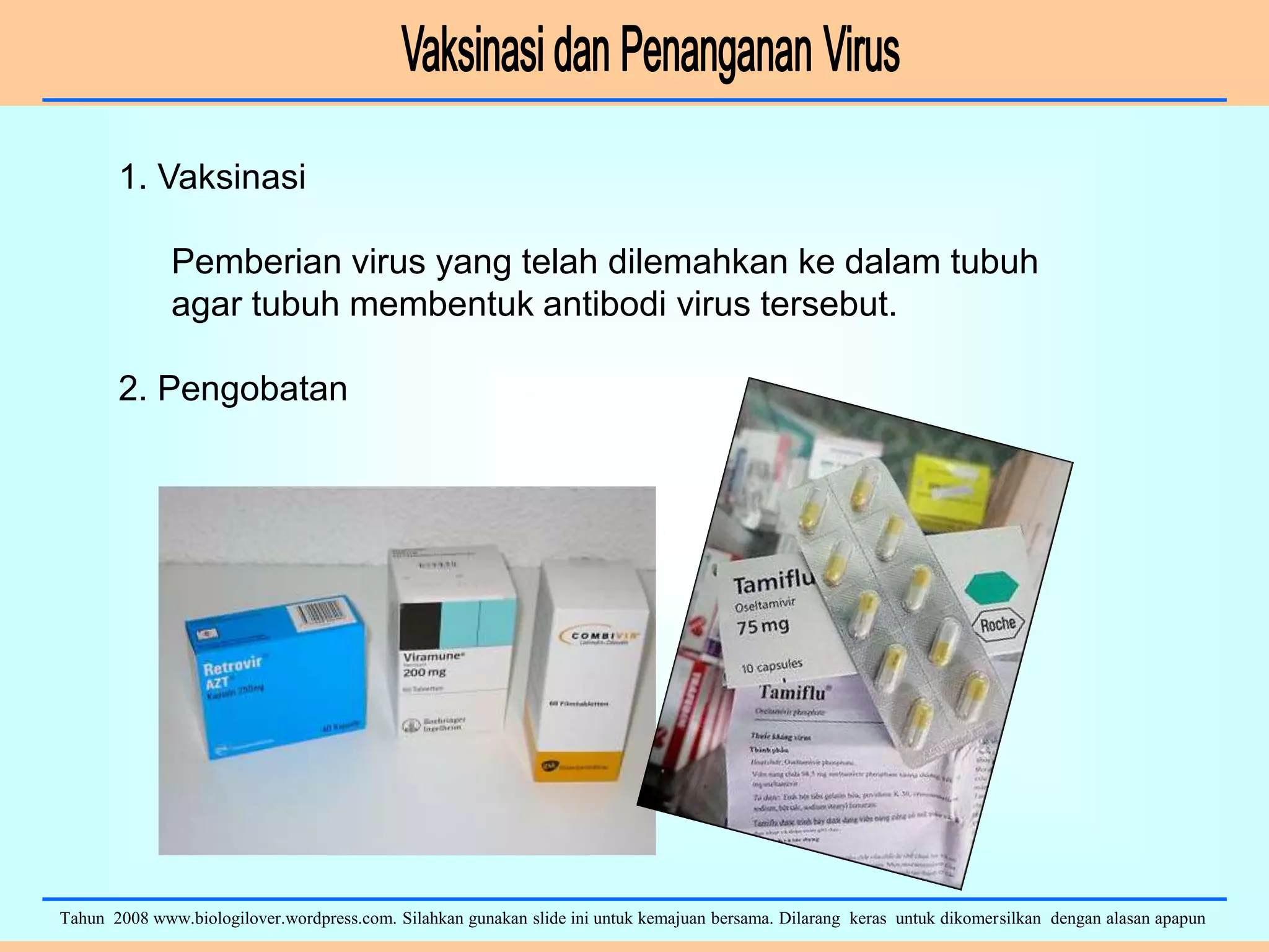 presentasi-virus.ppt