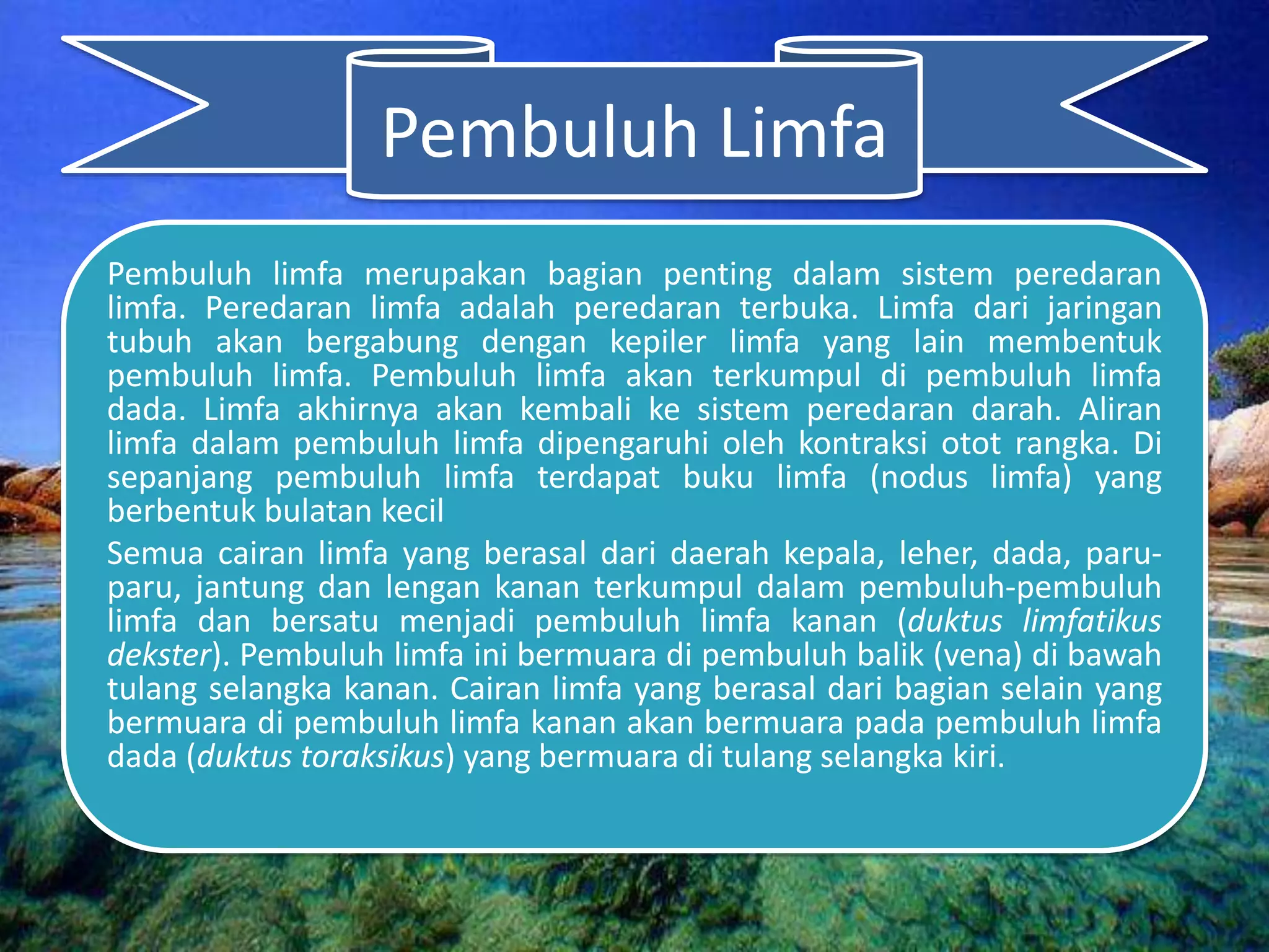 Sistem Limfatik (Getah Bening) pada Manusia | PPTX