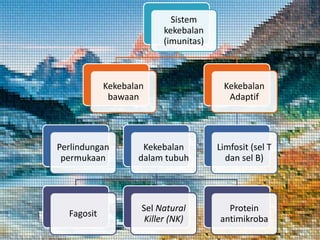 Sistem Limfatik (Getah Bening) pada Manusia | PPTX
