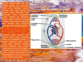 Sistem Limfatik (Getah Bening) pada Manusia | PPTX