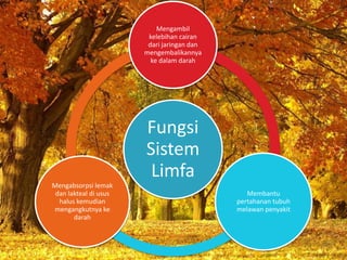 Sistem Limfatik (Getah Bening) pada Manusia | PPTX