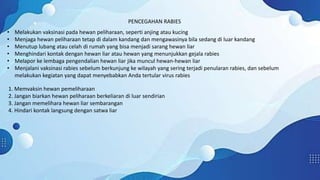 rabies | PPTX