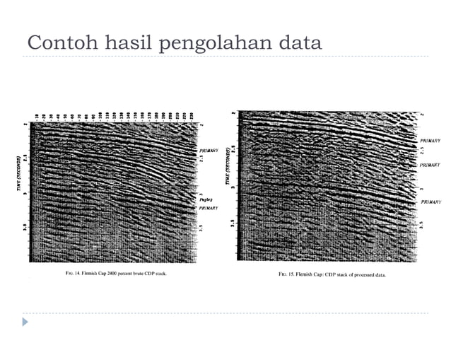 PREDICTIVE DECONVOLUTION IN SEISMIC DATA PROCESSING | PDF