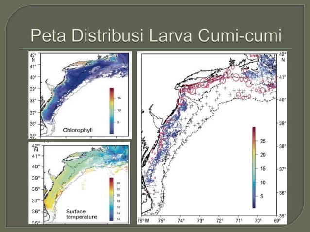 Presentasi algortima inderaja kelautan | PPTX