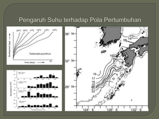 Presentasi algortima inderaja kelautan | PPT