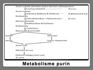 Presentasi asam urat | PPTX