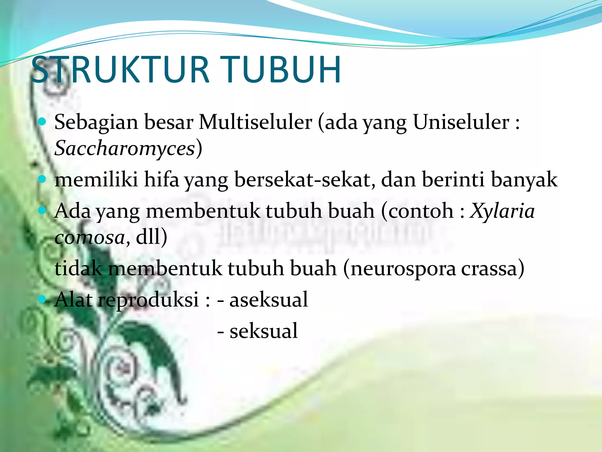 filum ascomycota | PPTX