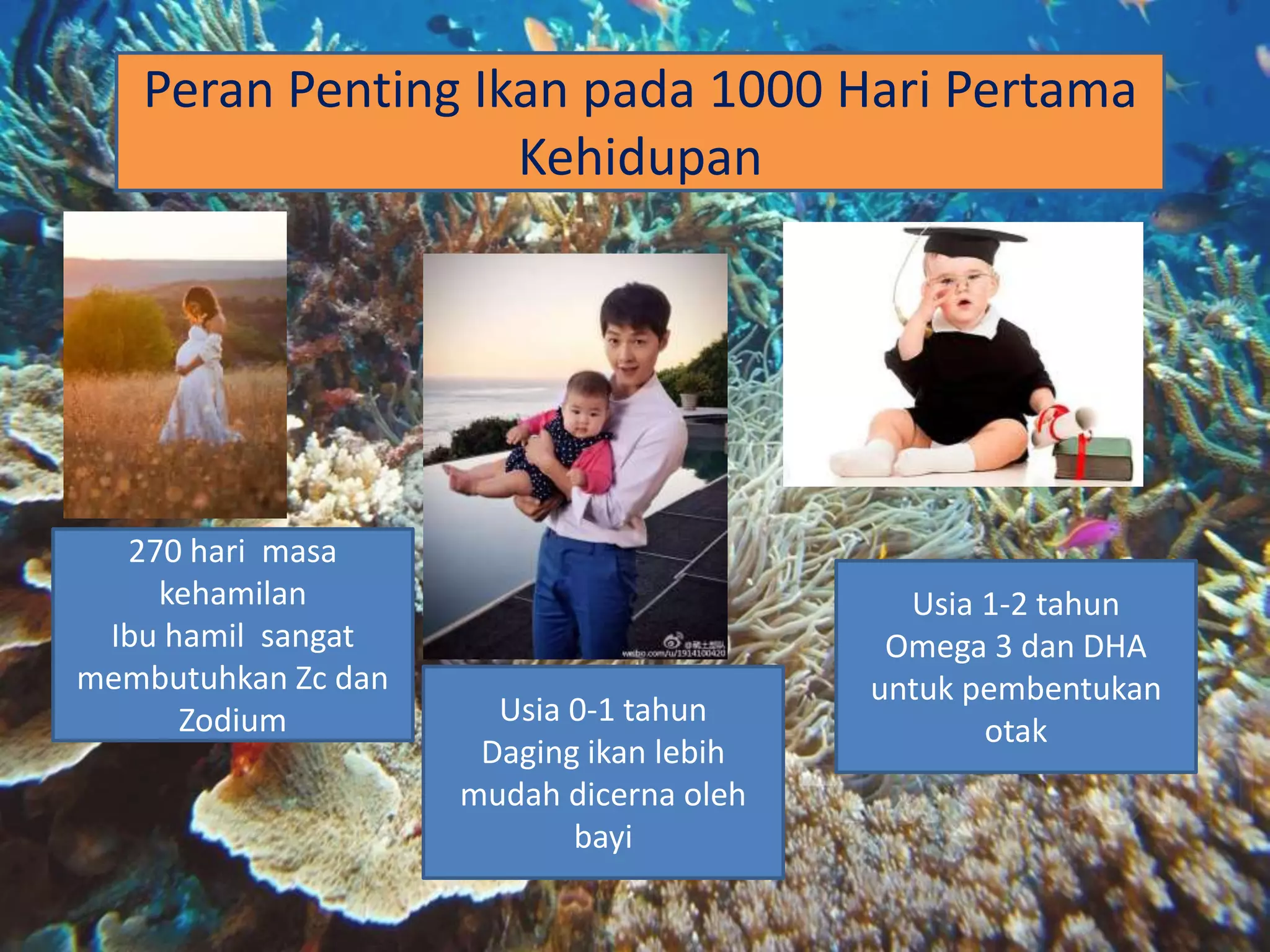 Presentasi_AYO_GEMAR_MAKAN_IKAN[1].pptx