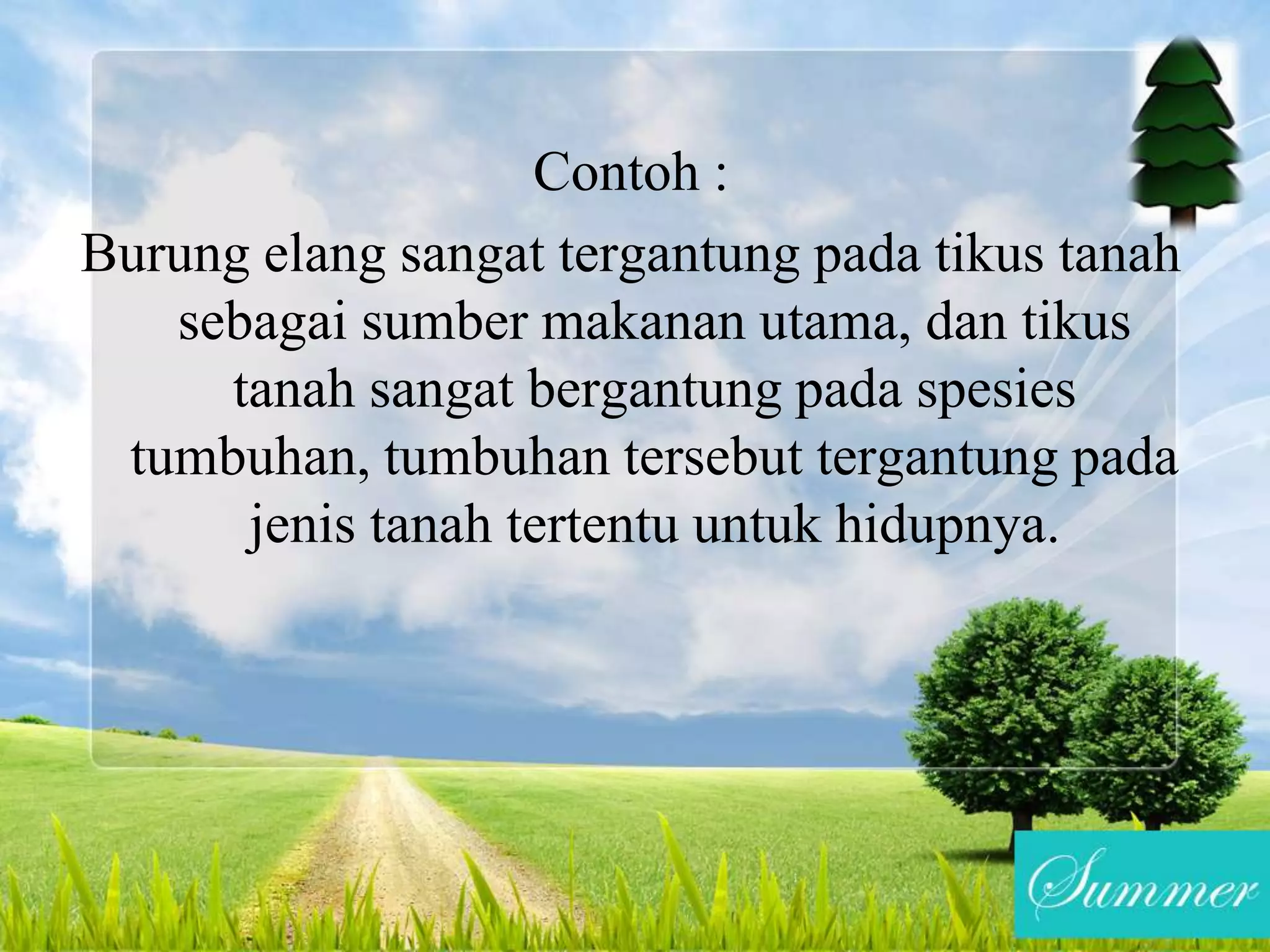 azas azas lingkungan hidup | PPTX