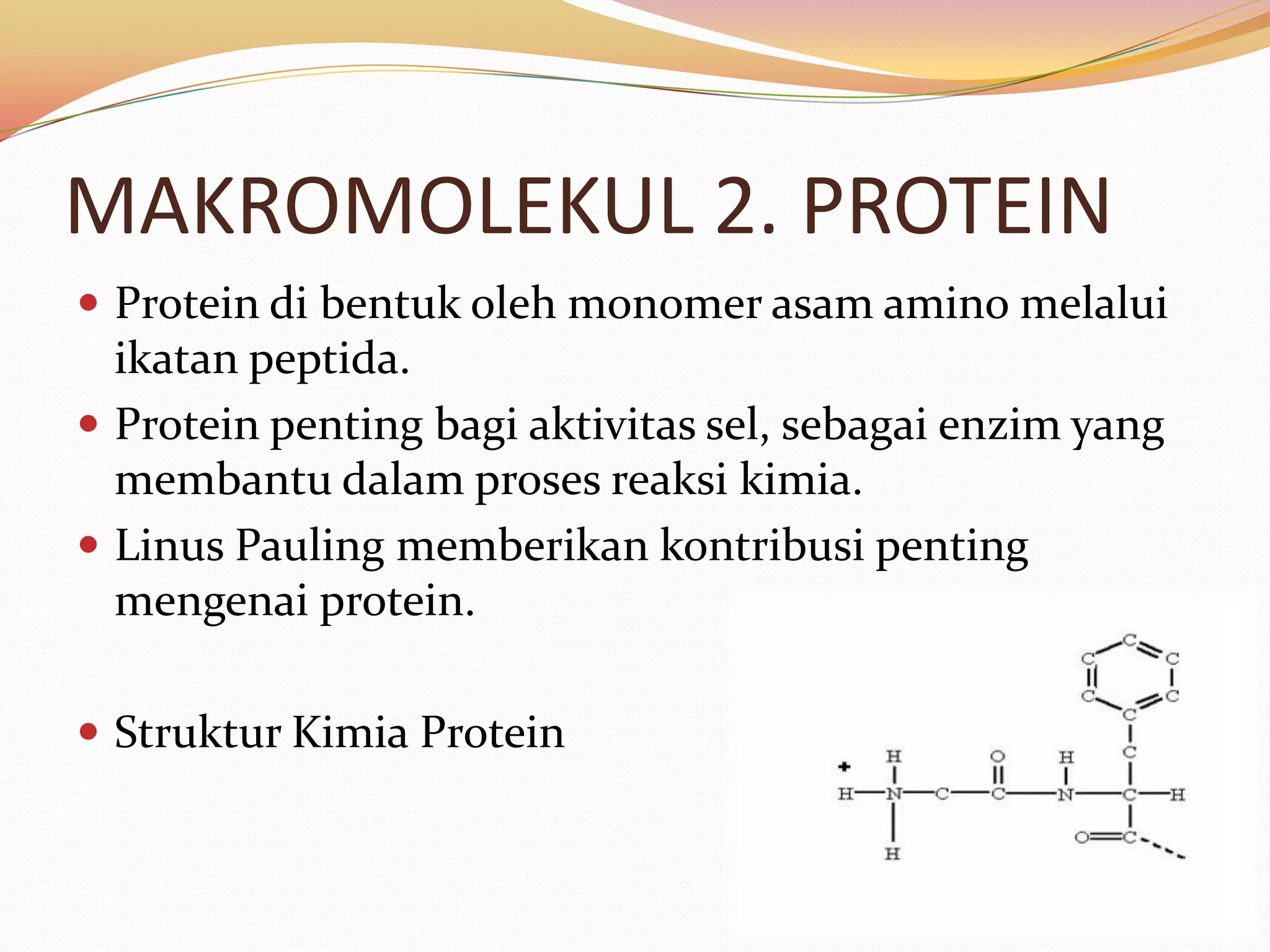 Presentasi bab 3 molekul sel | PPTX