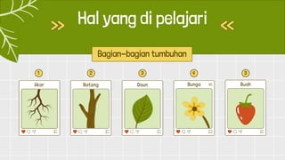 Presentasi Bagian-Bagian Tumbuhan IPAS Kelas 4 Hijau Coklat Neo Chat ...