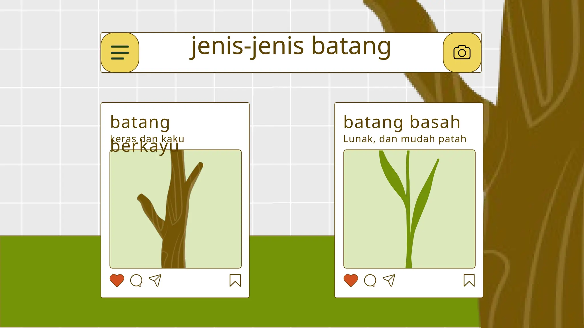 Presentasi Bagian-Bagian Tumbuhan IPAS Kelas 4 Hijau Coklat Neo Chat ...