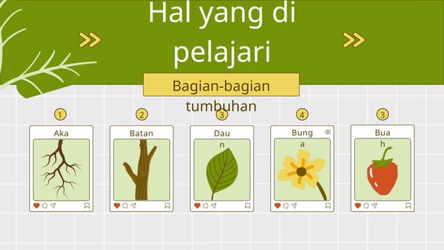 Presentasi Bagian-Bagian Tumbuhan IPAS Kelas 4 Hijau Coklat Neo Chat ...