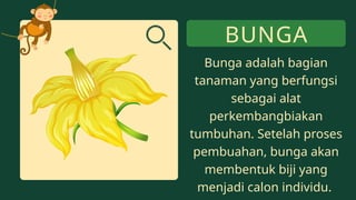 Presentasi Bagian-Bagian Tumbuhan IPAS Kelas 4 Hijau Coklat Neo Chat ...