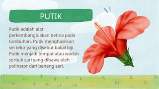 Presentasi Bagian Bunga Hijau Watercolor.pptx