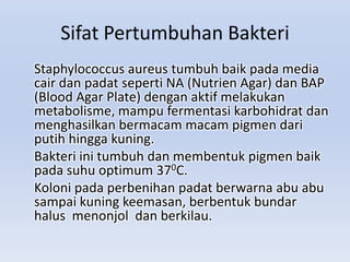 Presentasi bakteri kel 2 | PPTX