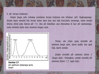 Enzim - Biology | PPT