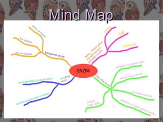 Enzim - Biology | PPT