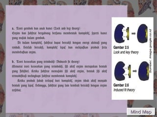 Enzim - Biology | PPT