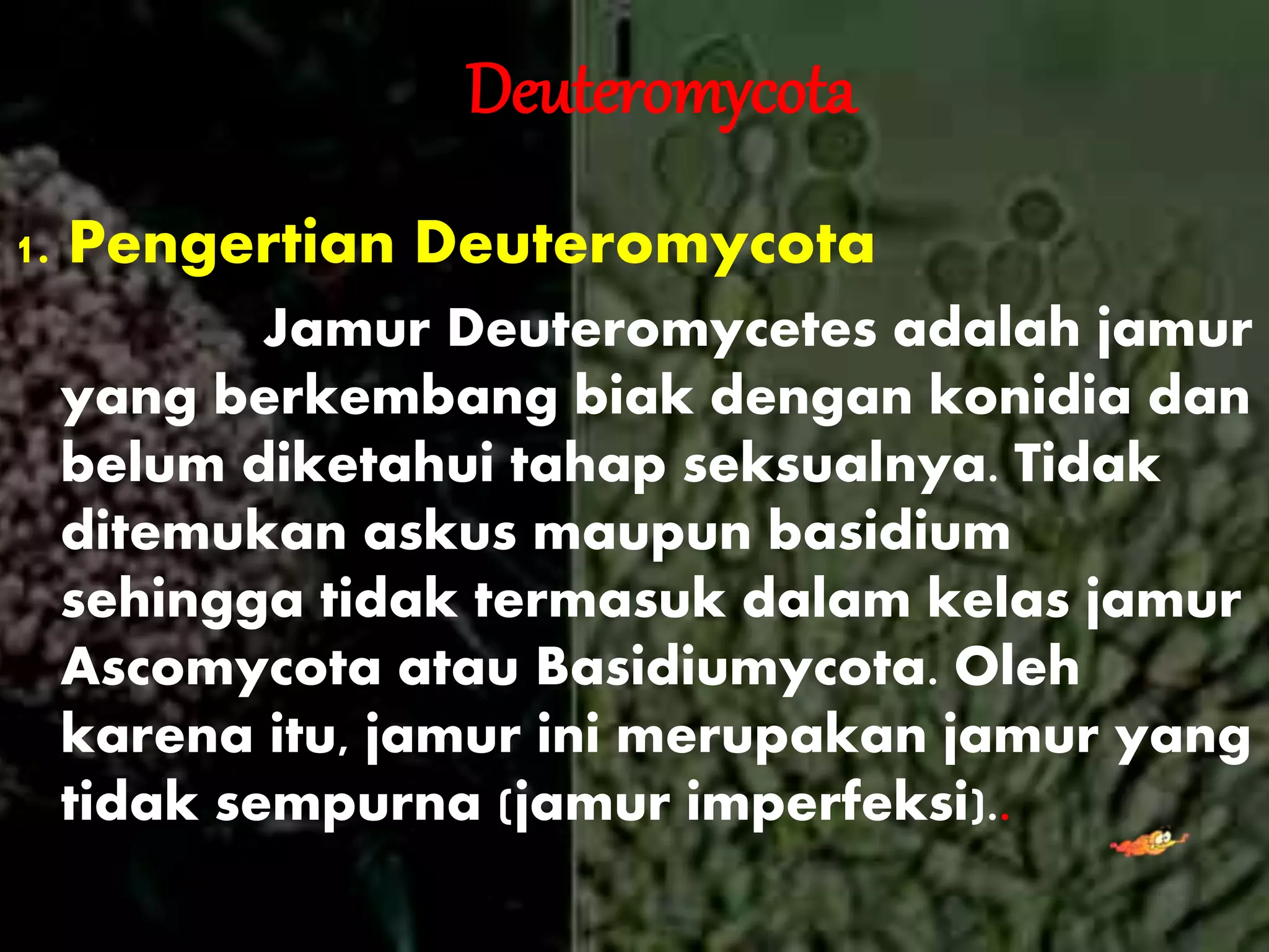 Presentasi biologi | PPT