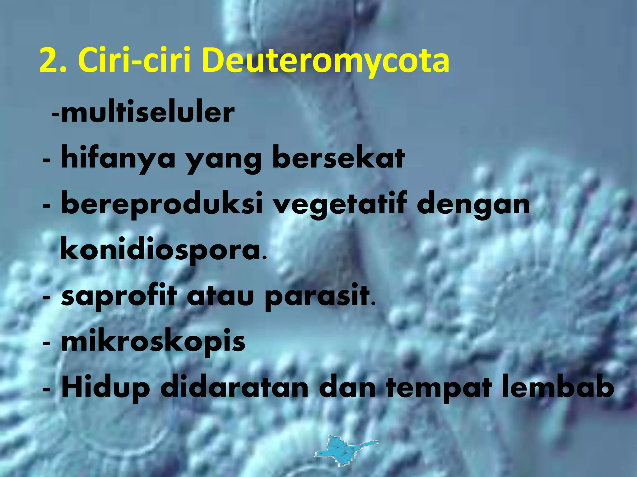 Presentasi biologi | PPT