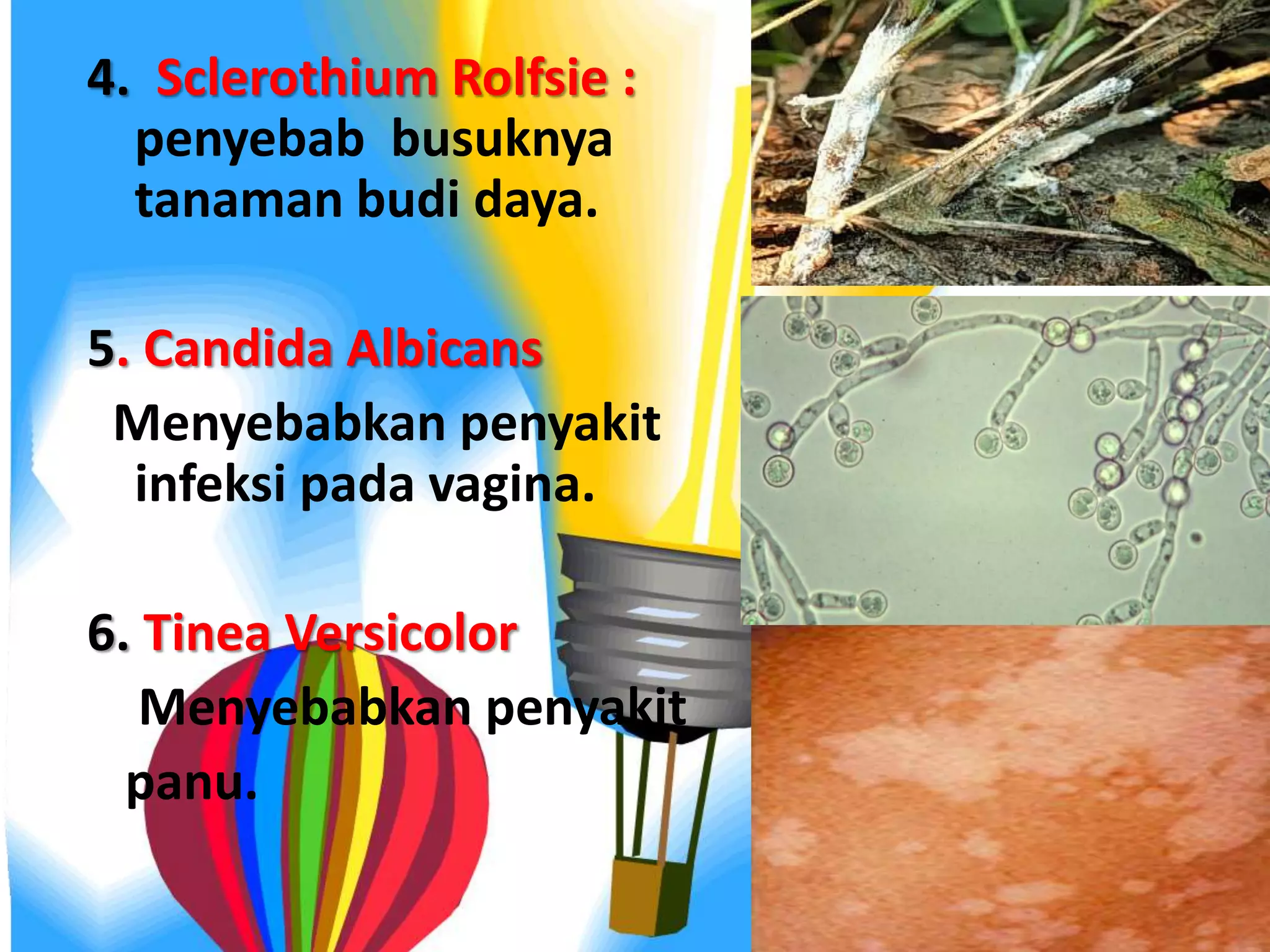 Presentasi biologi | PPT