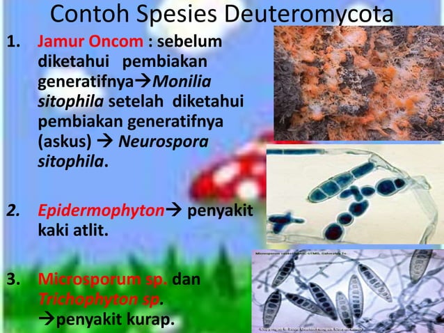 Presentasi biologi | PPT