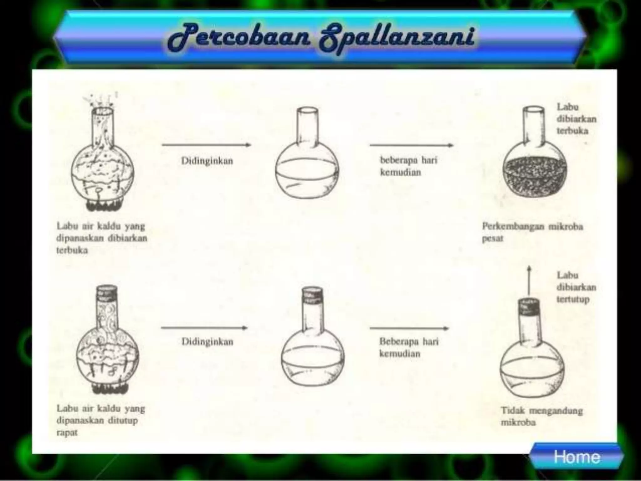 Presentasi Teori Biogenesis | PPTX