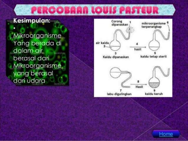 Presentasi Teori Biogenesis | PPTX