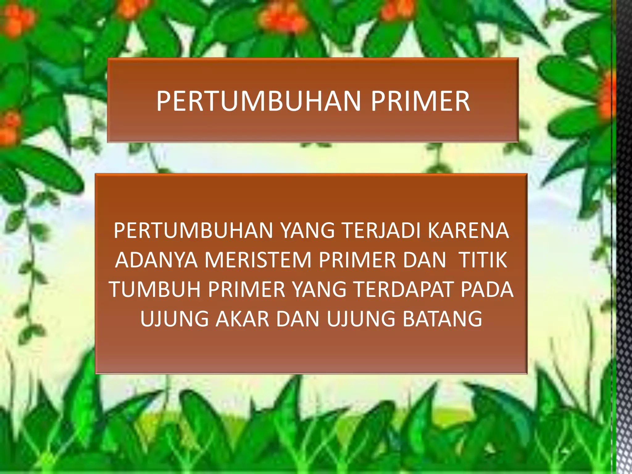 pertumbuhan dan perkembangan | PPT