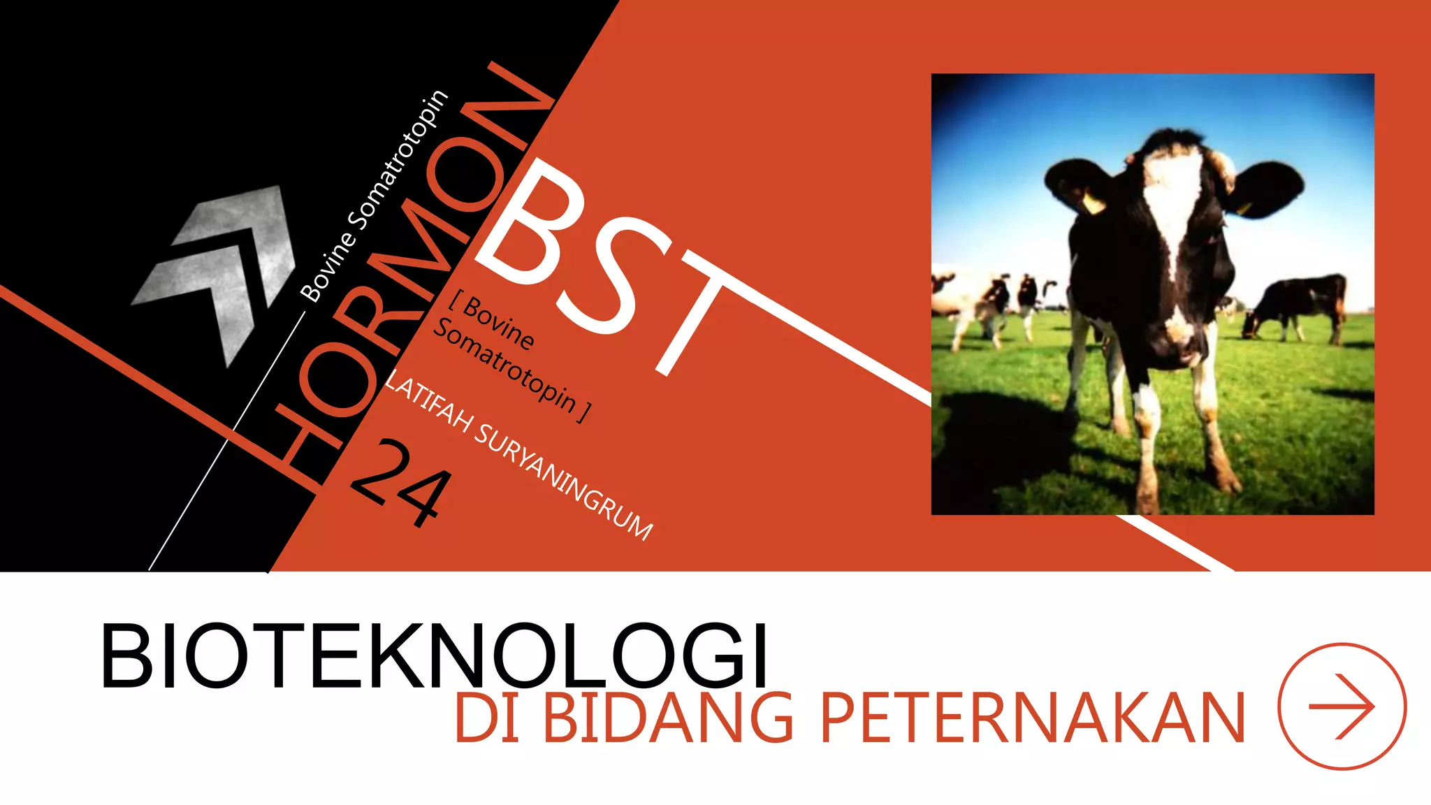 Presentasi biologi hormon bst | PPTX