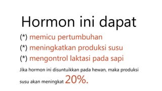 Presentasi biologi hormon bst | PPTX