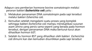 Presentasi biologi hormon bst | PPTX