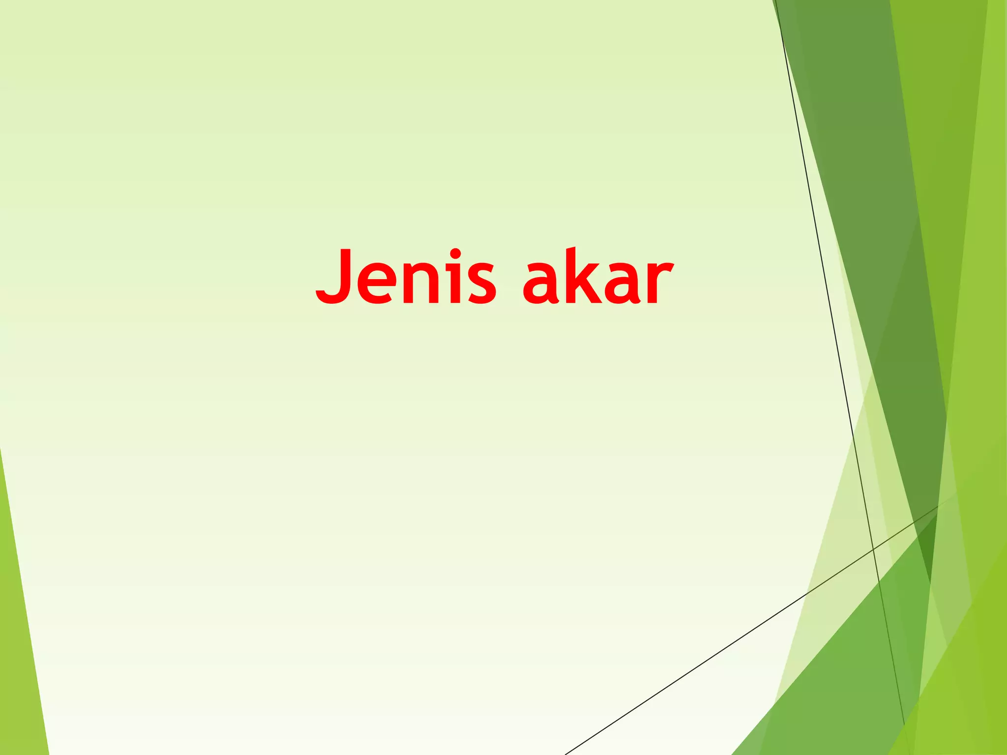 Presentasi Organ Tumbuhan Akar | PPT