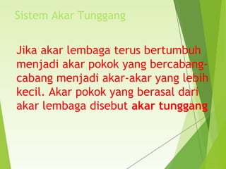 Presentasi Organ Tumbuhan Akar | PPT