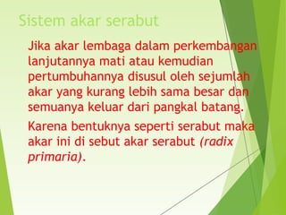 Presentasi Organ Tumbuhan Akar | PPT