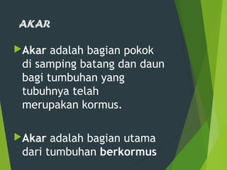 Presentasi Organ Tumbuhan Akar | PPT