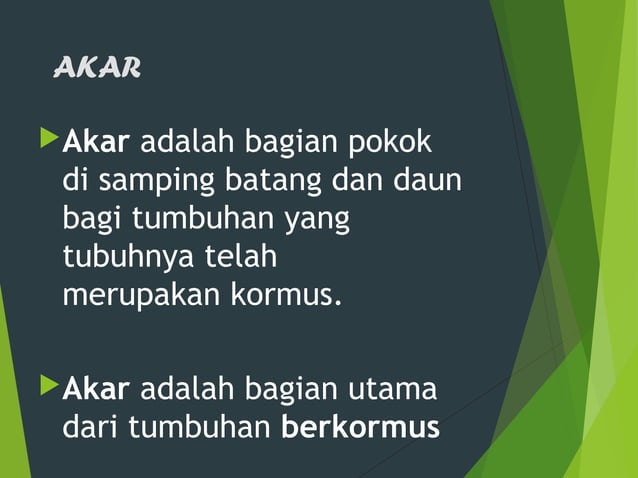Presentasi Organ Tumbuhan Akar | PPT