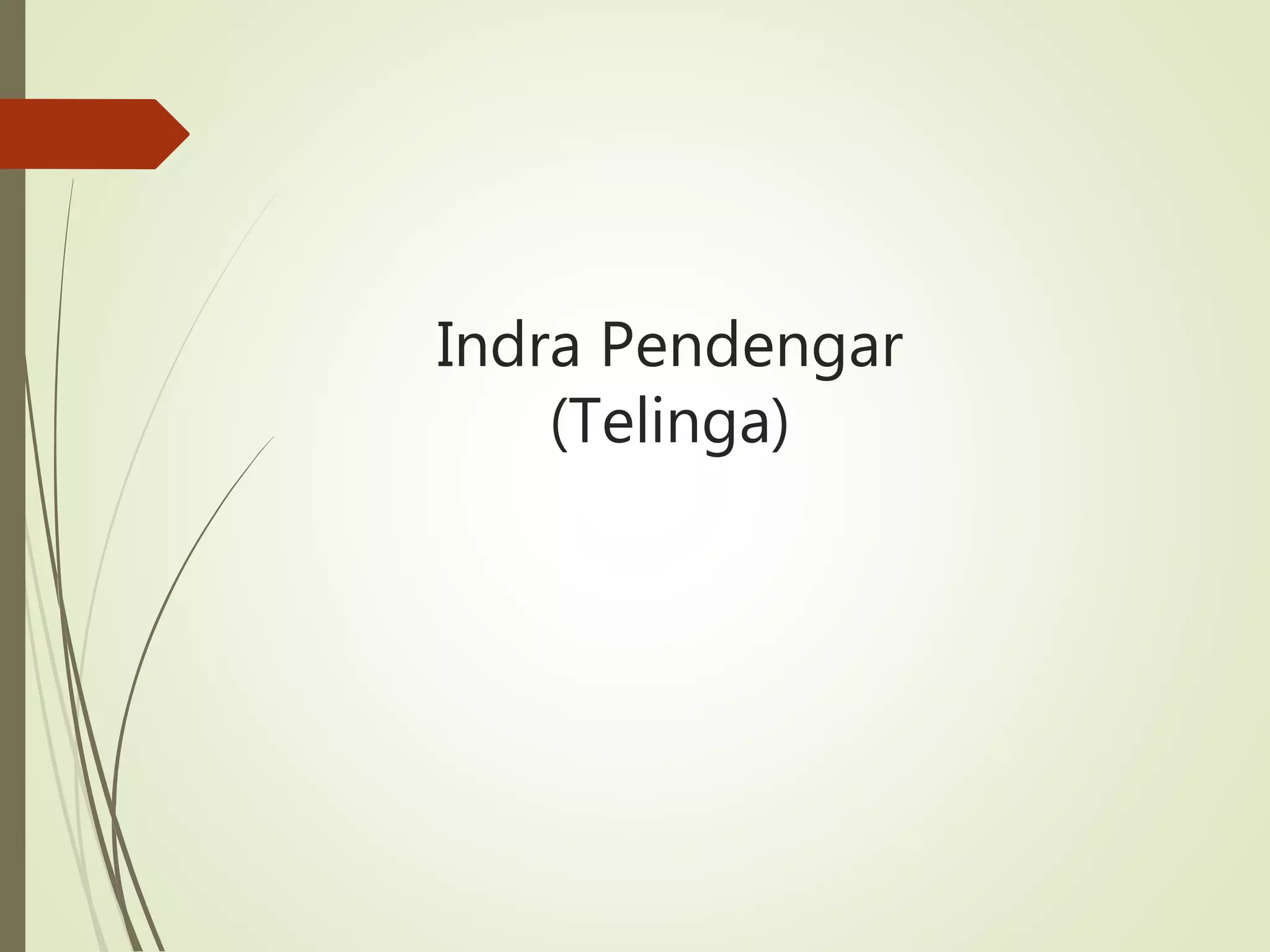 Presentasi Alat Indra peraba dan Indra pendengar Kelas xi ipa 2 | PPTX