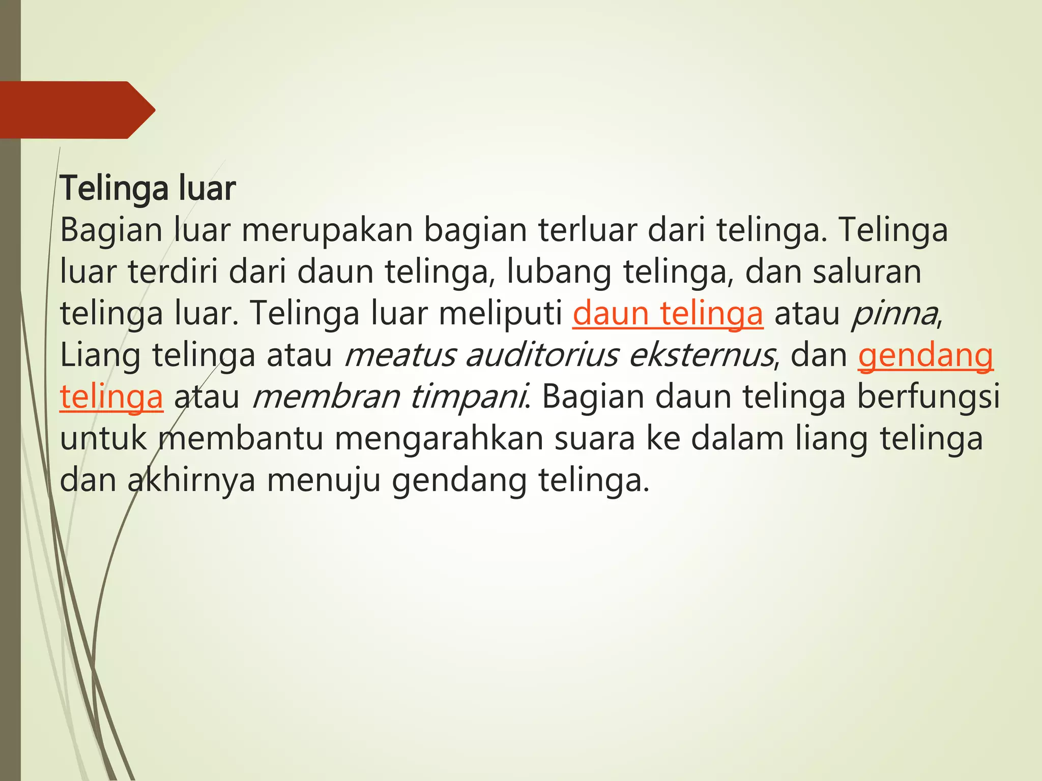 Presentasi Alat Indra peraba dan Indra pendengar Kelas xi ipa 2 | PPTX